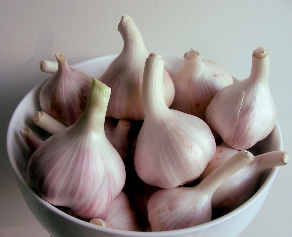 How to Cook Garlic Without Smelling Like Garlic! - Dish by Dish