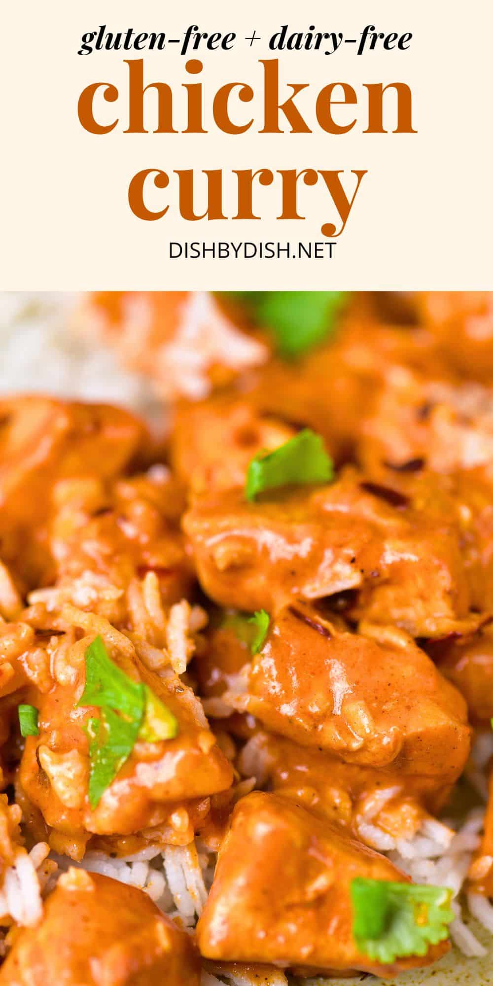 Easy Gluten-Free Chicken Curry (Dairy-Free) - Dish by Dish