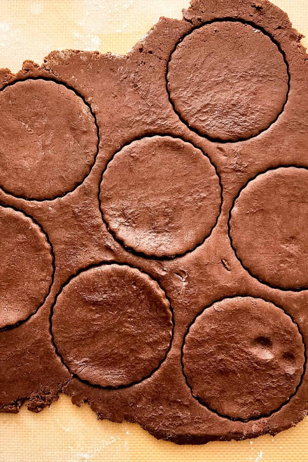 Gluten-Free Thin Mints (Dairy-Free) - Dish by Dish