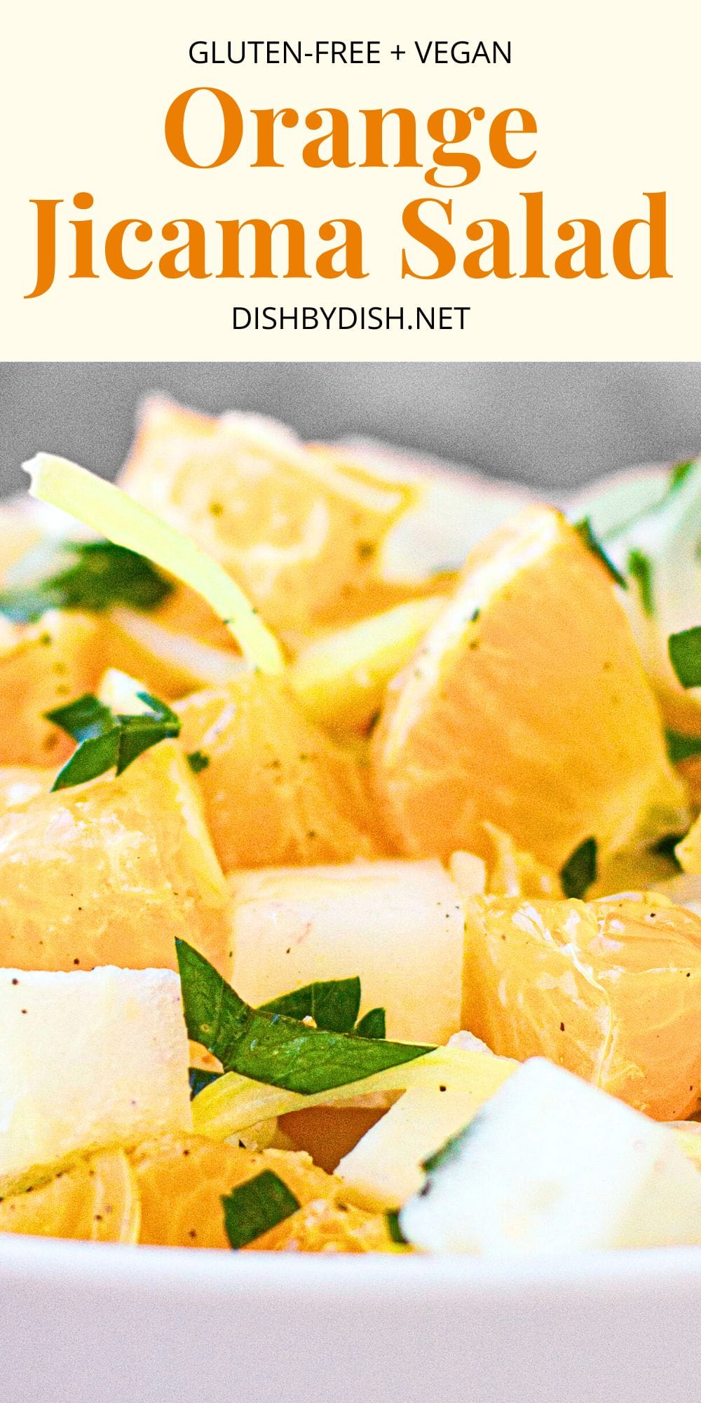 Orange Jicama Salad (Gluten-Free, Vegan) - Dish by Dish