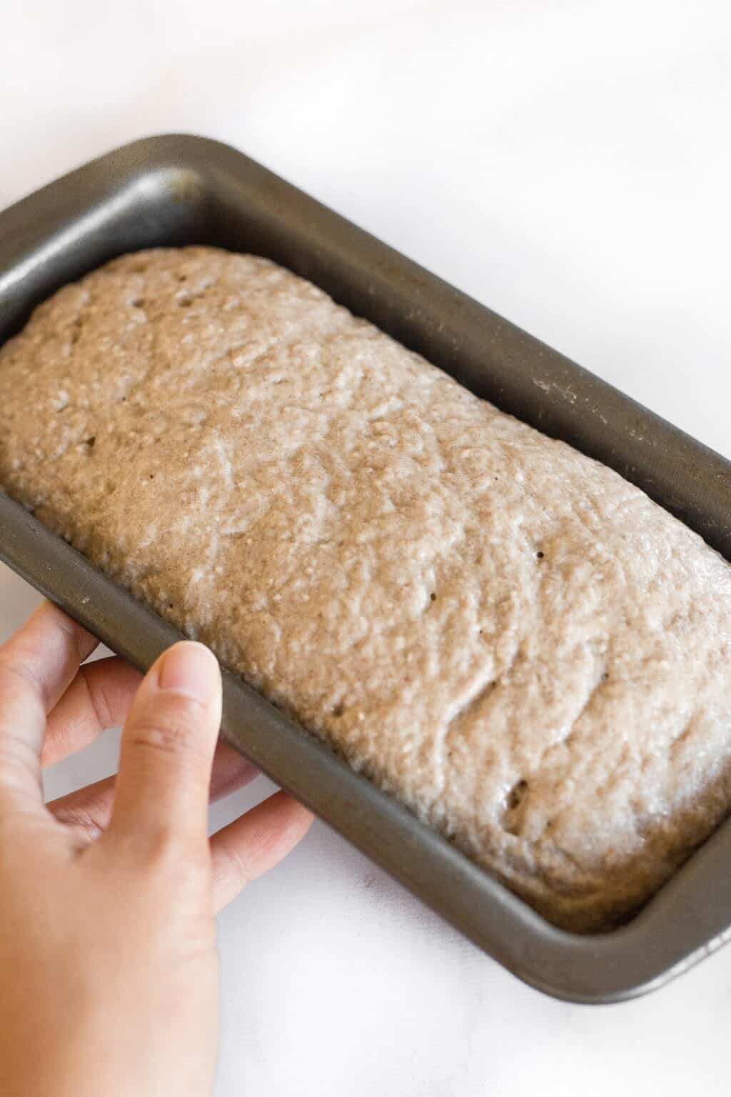 Soft, Fluffy Teff Bread (Gluten-Free, Dairy-Free) - Dish by Dish